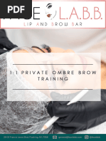 Microbladingworkbook | PDF | Eyebrow