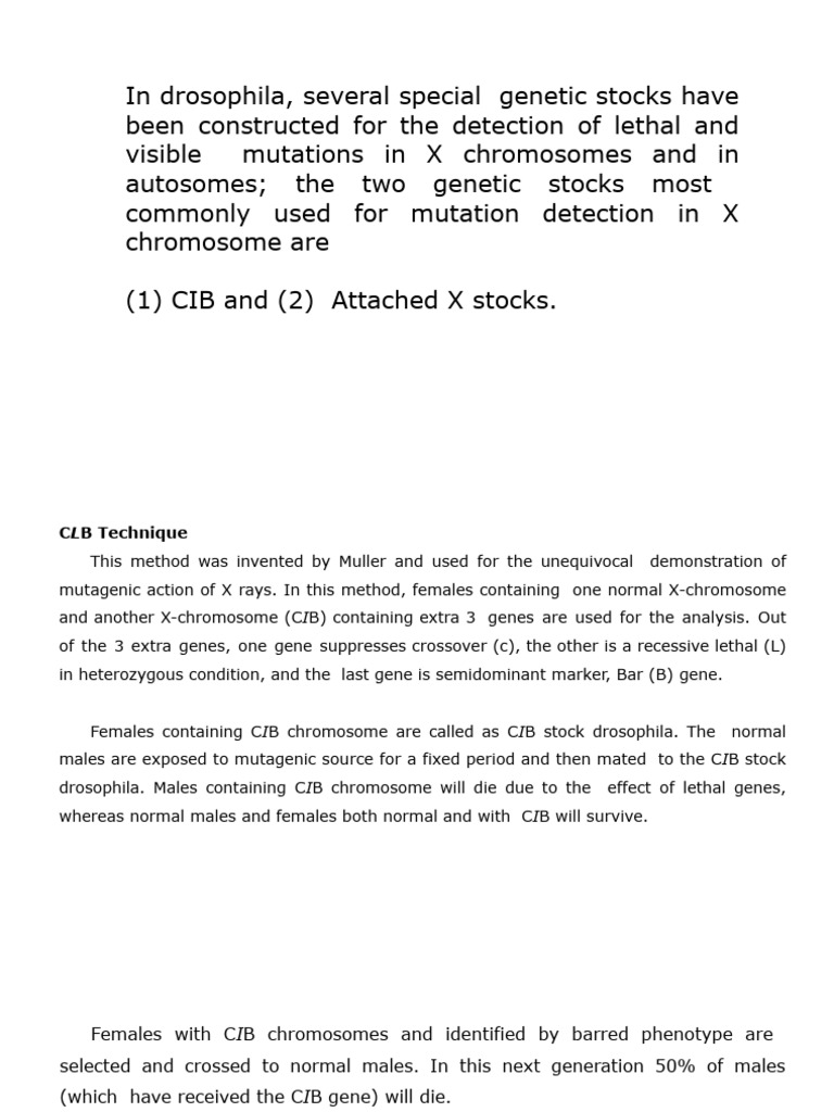 CIB Method for Mutation Detection in Drosophila | PDF