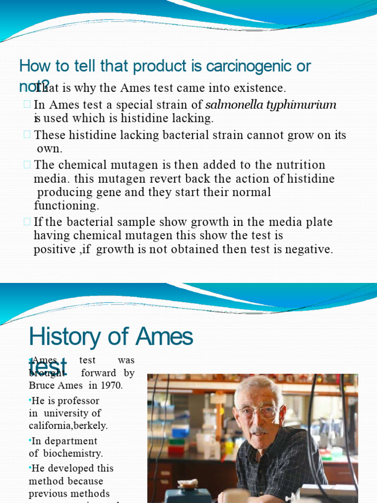 Ames Test Final | PDF | Mutagen | Biochemistry