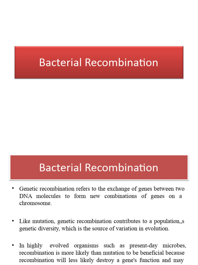 Bacterial Recombination | PDF | Bacteriophage | Transformation (Genetics)