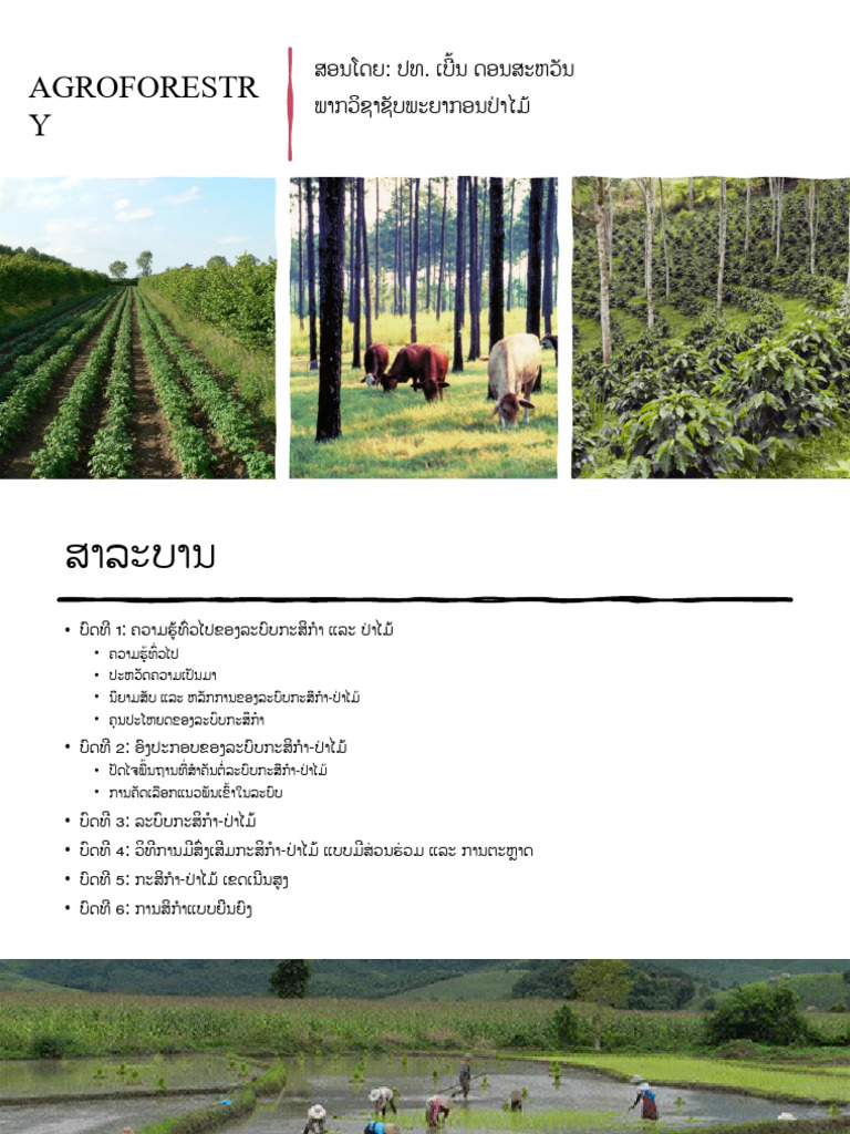Agro Forestry | PDF