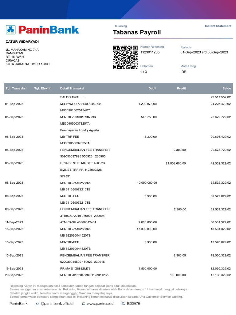 Panin InstantStatement 093903014335-Unlocked | PDF