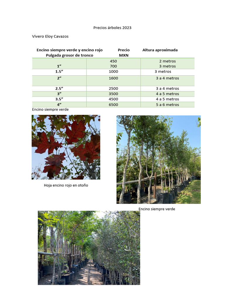 Precios Frutales y Ã¡rboles | PDF