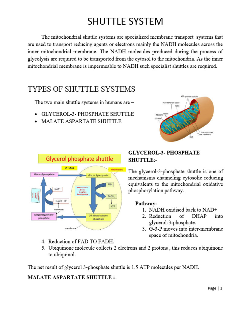 Shuttle System | PDF