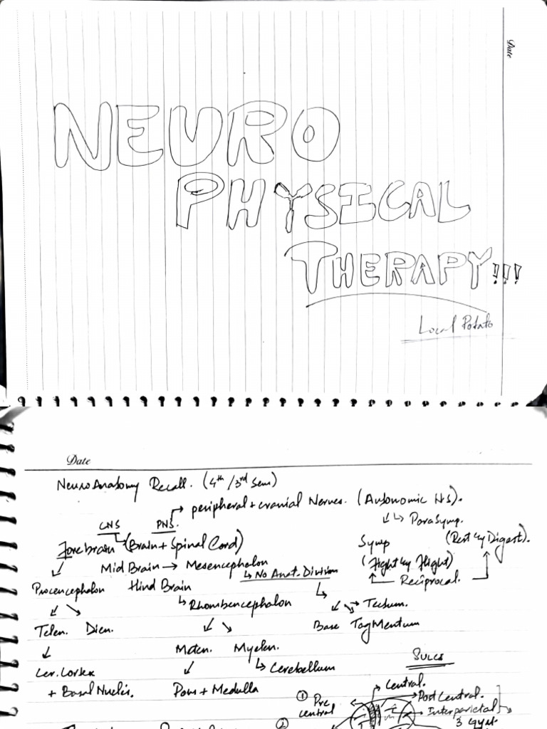 NeuroPhysiotherapy Notes (Complete) | PDF