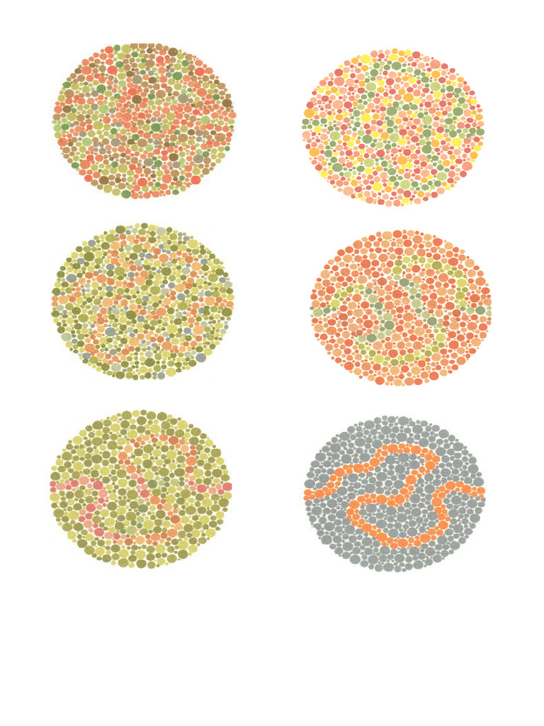 Ishihara Test | PDF