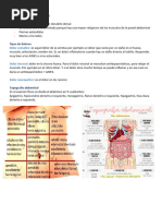 Signo del Psoas y Apendicitis | PDF