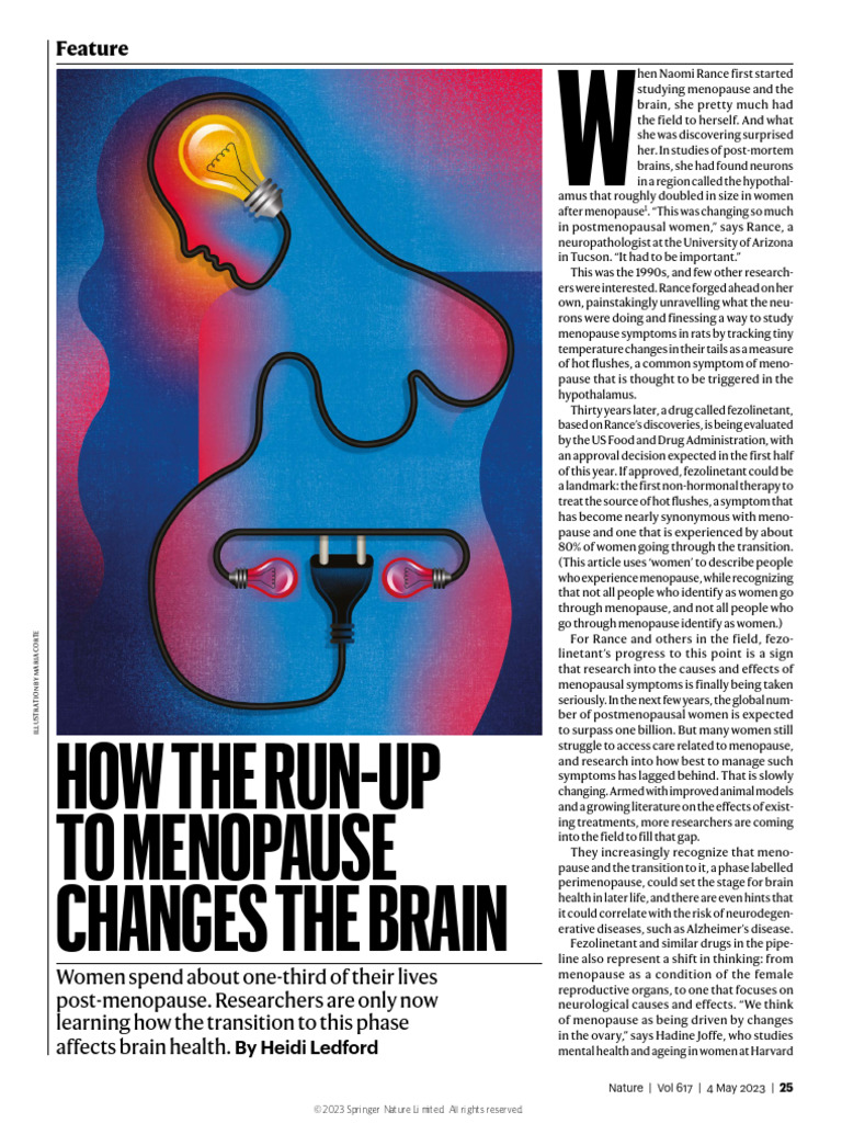 How Menopause Reshapes Brain | PDF
