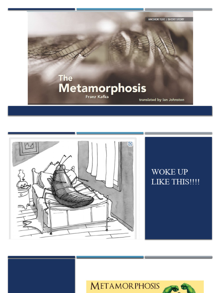 The Metamorphosis Analysis 2023-2024 | PDF | The Metamorphosis