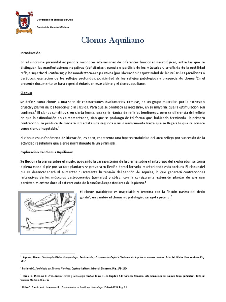 Clonus Aquiliano | PDF | Contracción muscular | Músculo
