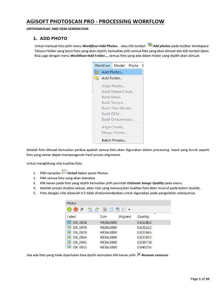 Processing Workflow - Orthomosaic Rev2 | PDF