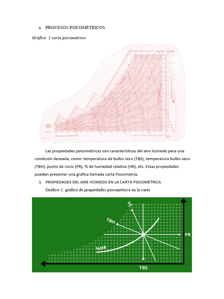PROCESOS PSICOMÉTRICOS | PDF