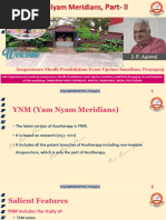 Byol Maridian Chart | PDF | Energy Therapies | Energy (Esotericism)