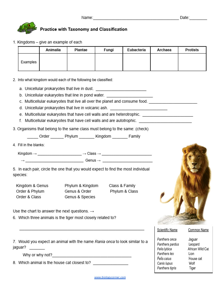 Practice With Taxonomy and Classification PDF | PDF