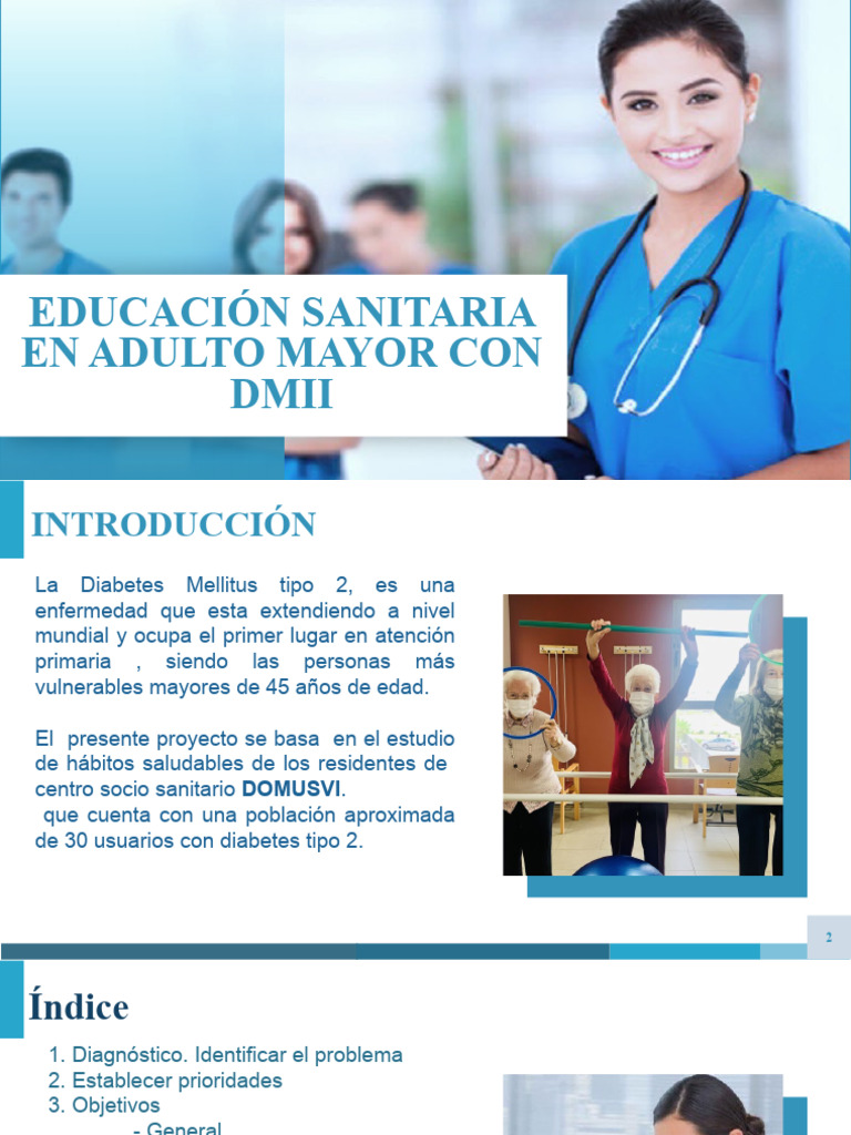 Proyecto Ed. Sanitaria Adulto Mayor Dmii | PDF