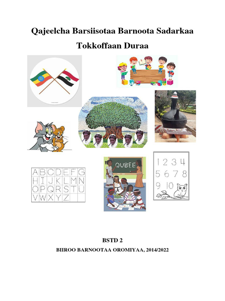 BSTD - 2 Qajeelcha Barsiisaa | PDF