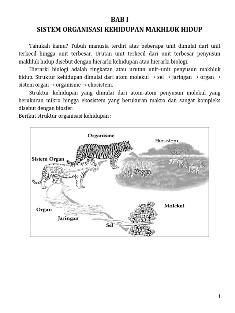 Struktur dan Fungsi Sel Makhluk Hidup | PDF