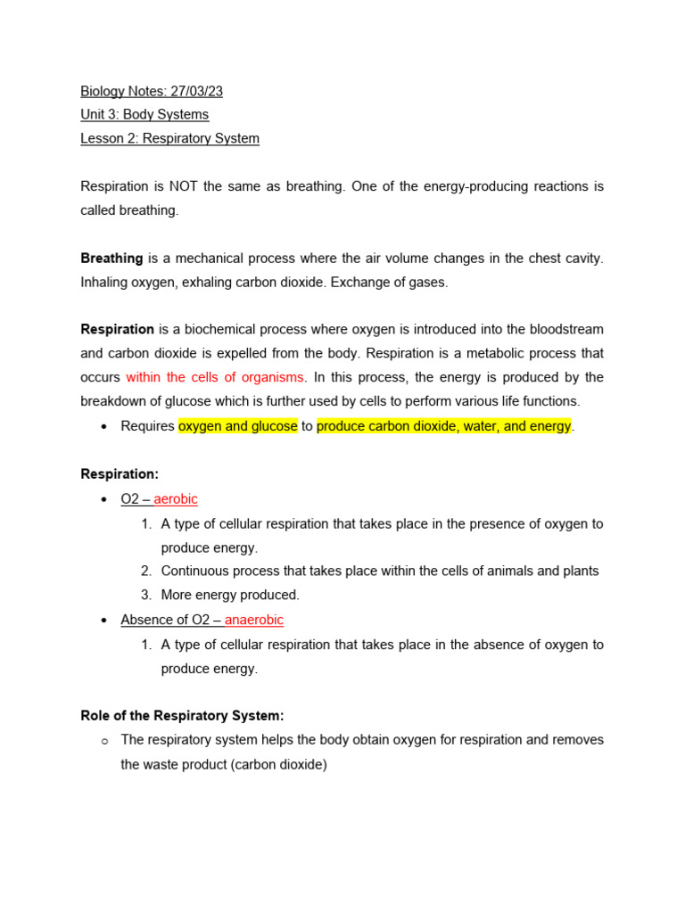 Biology Notes - Respiratory System | PDF | Breathing | Respiratory System