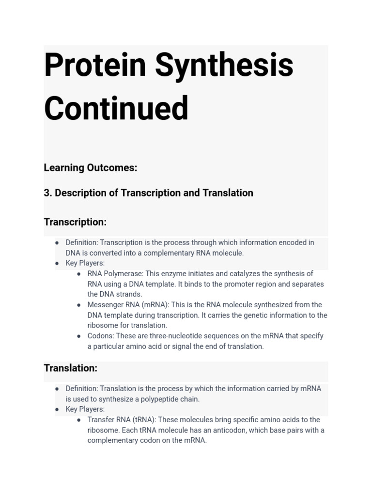 Protein Synthesis Continued (A Level) | PDF