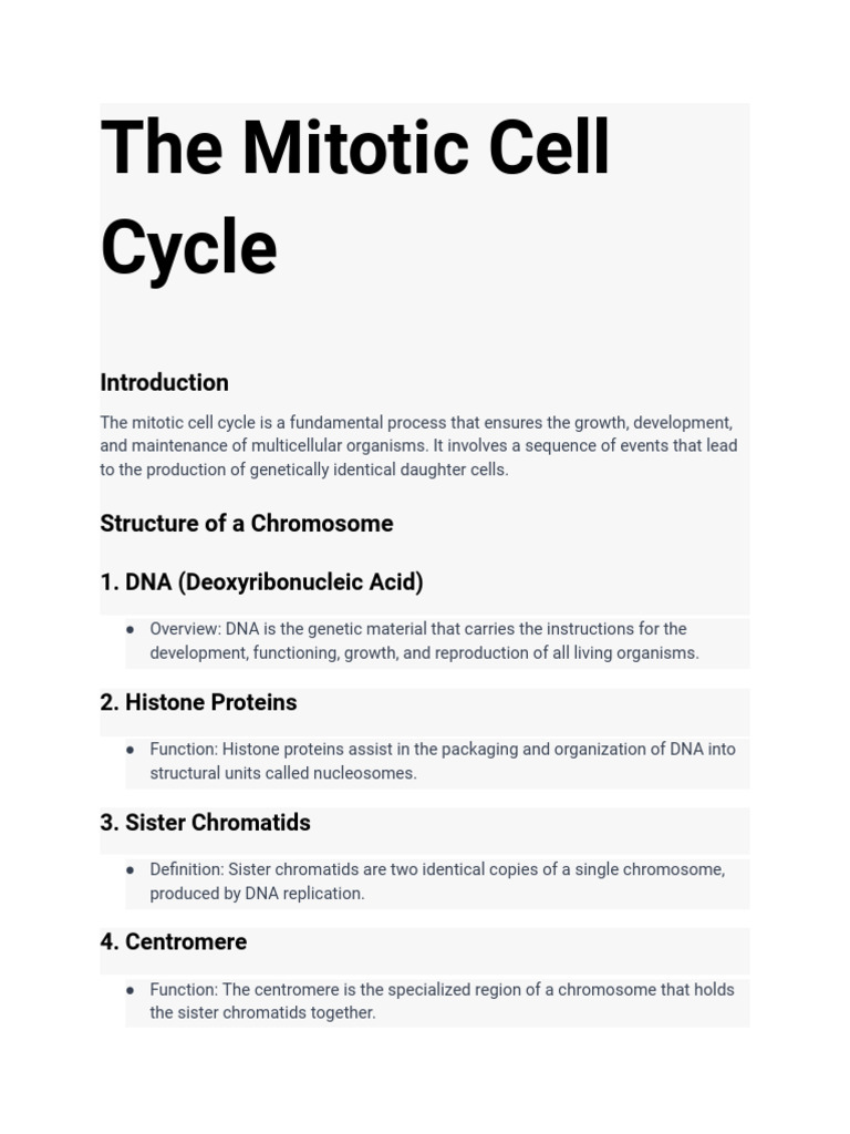 The Mitotic Cell Cycle (A Level) | PDF | Mitosis | Chromosome