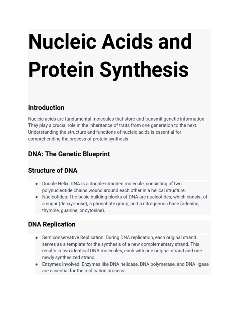 Nucleic Acids and Protein Synthesis (A Level Biology) | PDF