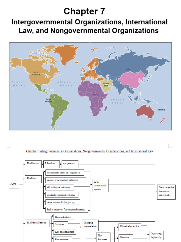 Chapter7 IGOs, internationallaw&NGOs | PDF | United Nations ...
