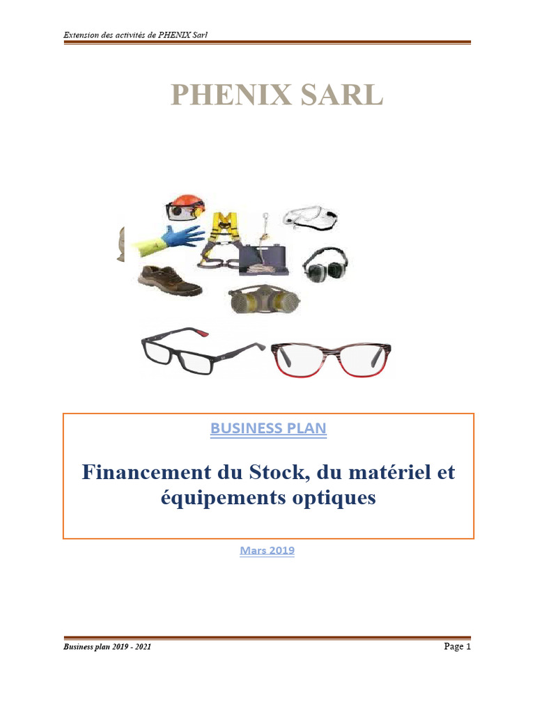 Business Plan PHENIX Sarl 2019-2021 | PDF | Déficience visuelle | Économie