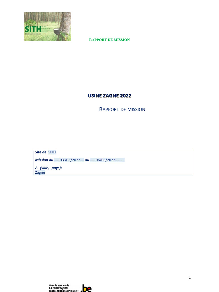 324 Modele Rapport de Mission 2017 2021 | PDF