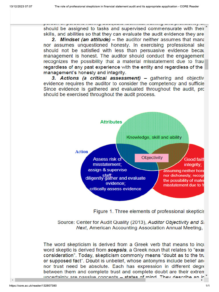 Professional Skepticism in Audits | PDF | Finance & Money Management