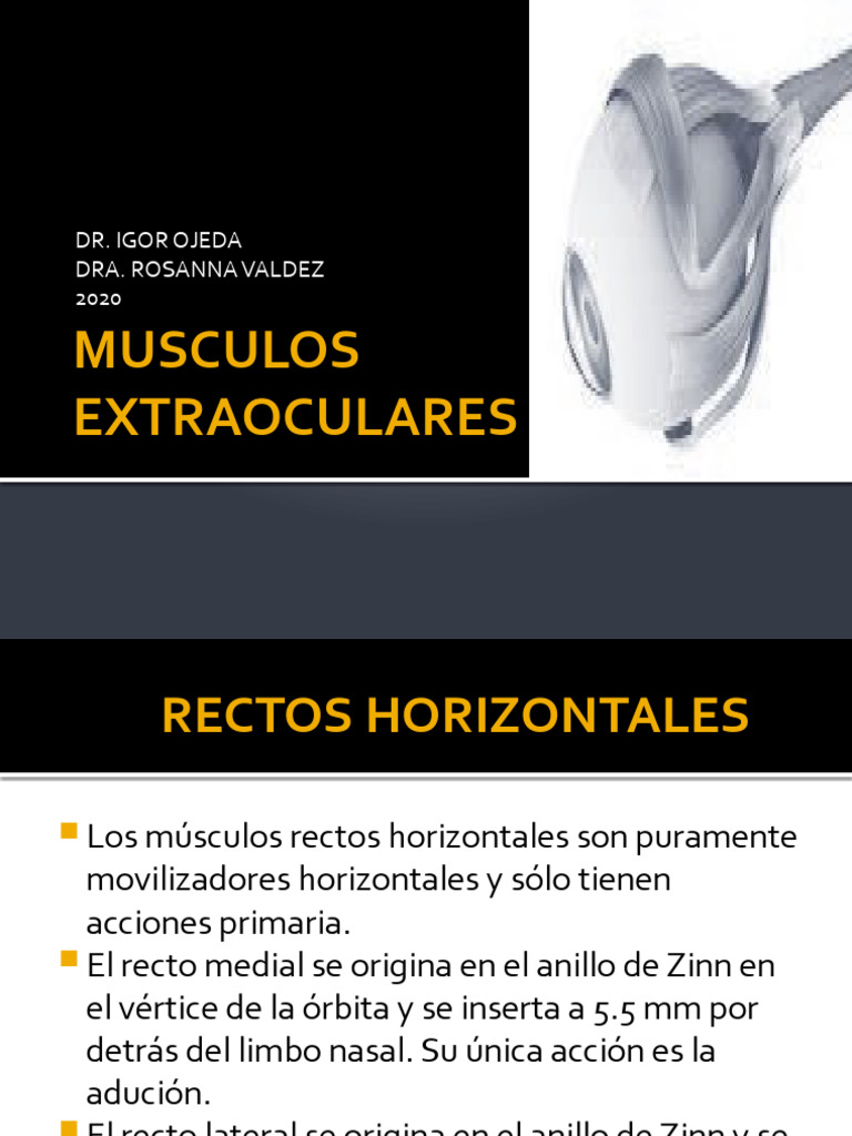 Musculos Extraoculares 2 | PDF