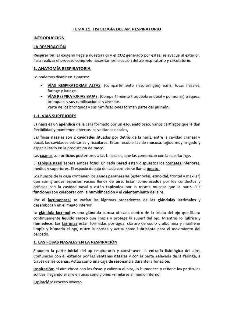 Tema 11 Ap Respiratorio Resumen | PDF | Laringe | Pulmón