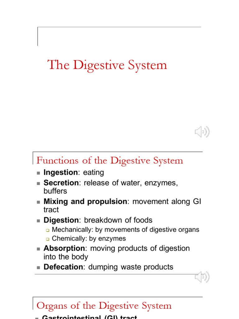 The Digestive System Ver.3 | PDF | Human Digestive System | Digestion