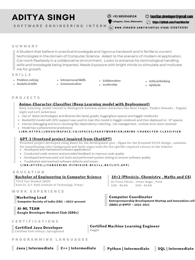 Aditya Singh | PDF | Software | Compiler