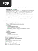Hobbit Notatki Z Lektury | PDF