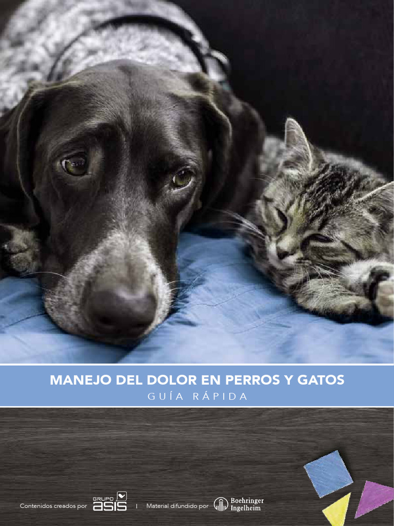 Guia Rapida de Manejo Del Dolor en Perros y Gatos | PDF