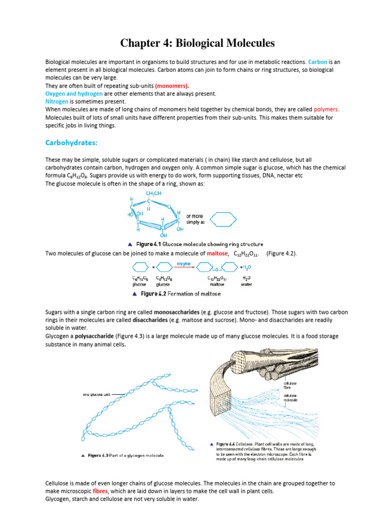 Chapter 4 Biological Molecules | PDF | Science & Mathematics