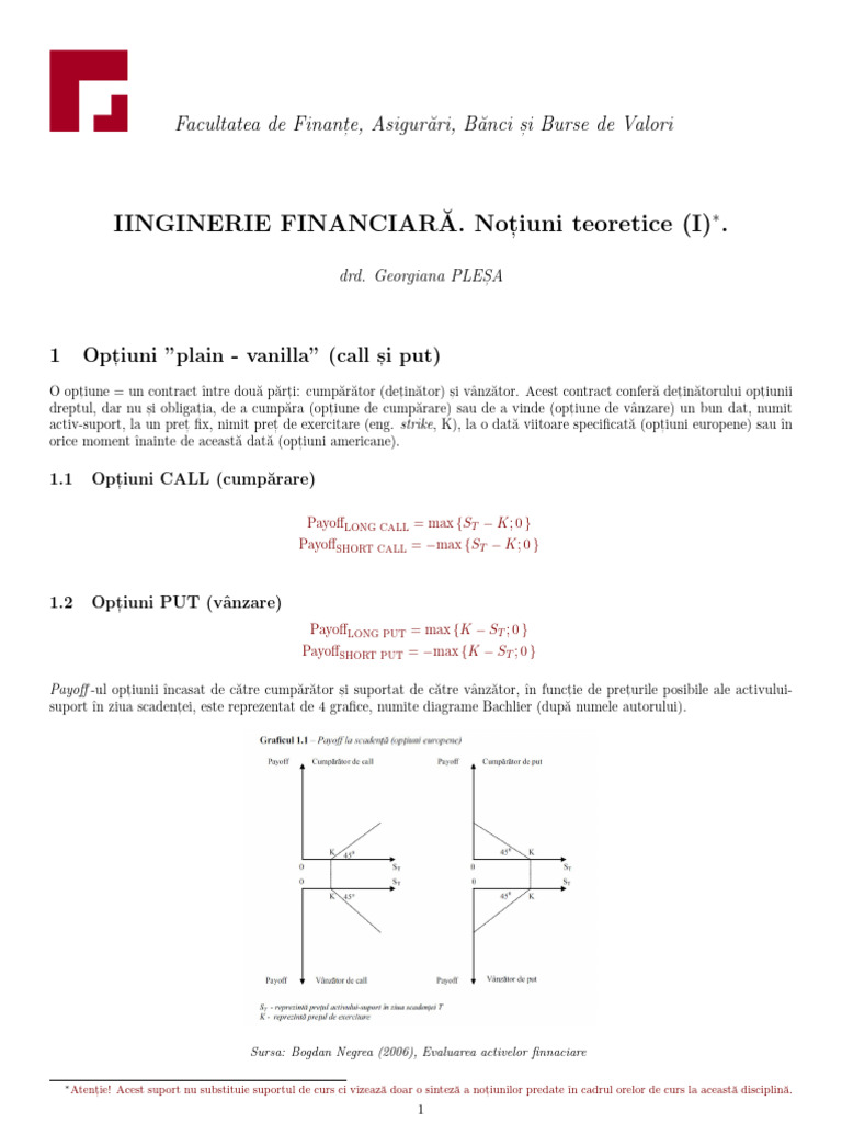 Inginerie Financiara Suport Teorie | PDF