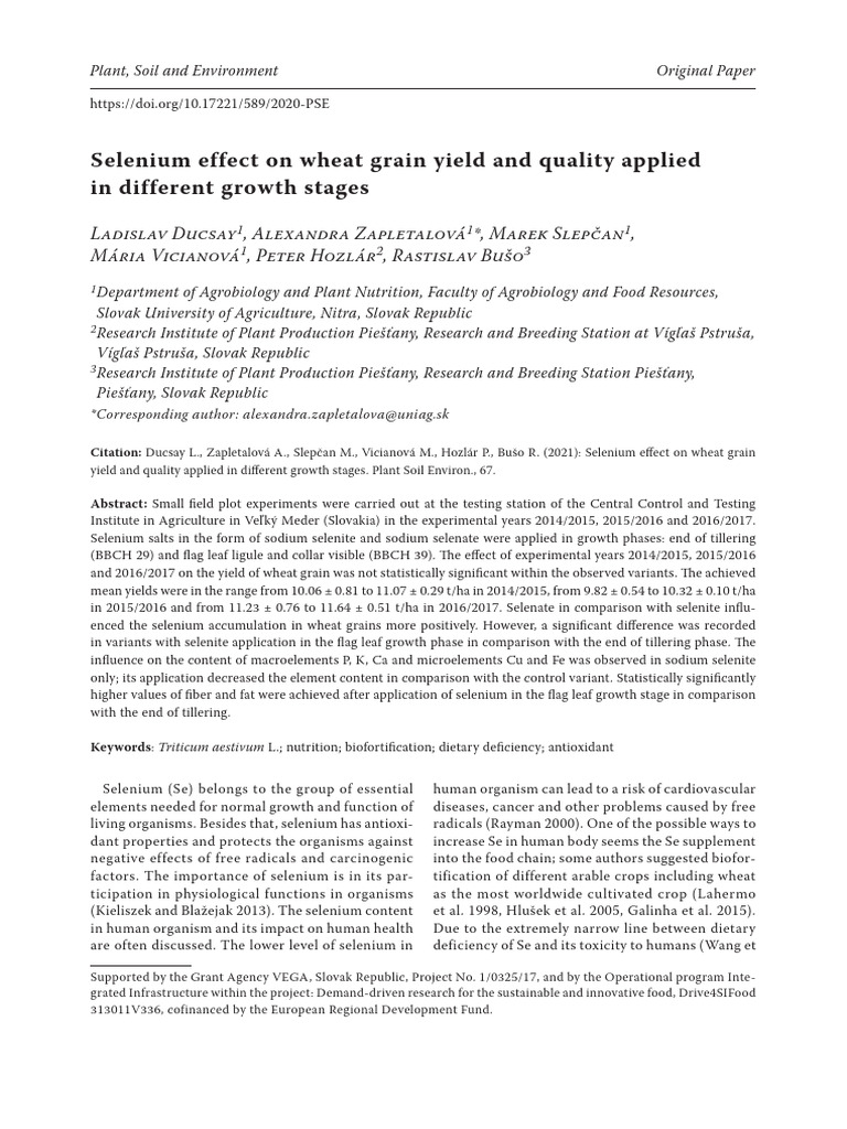 Selenium Effect On Wheat Grain | PDF | Selenium | Wheat