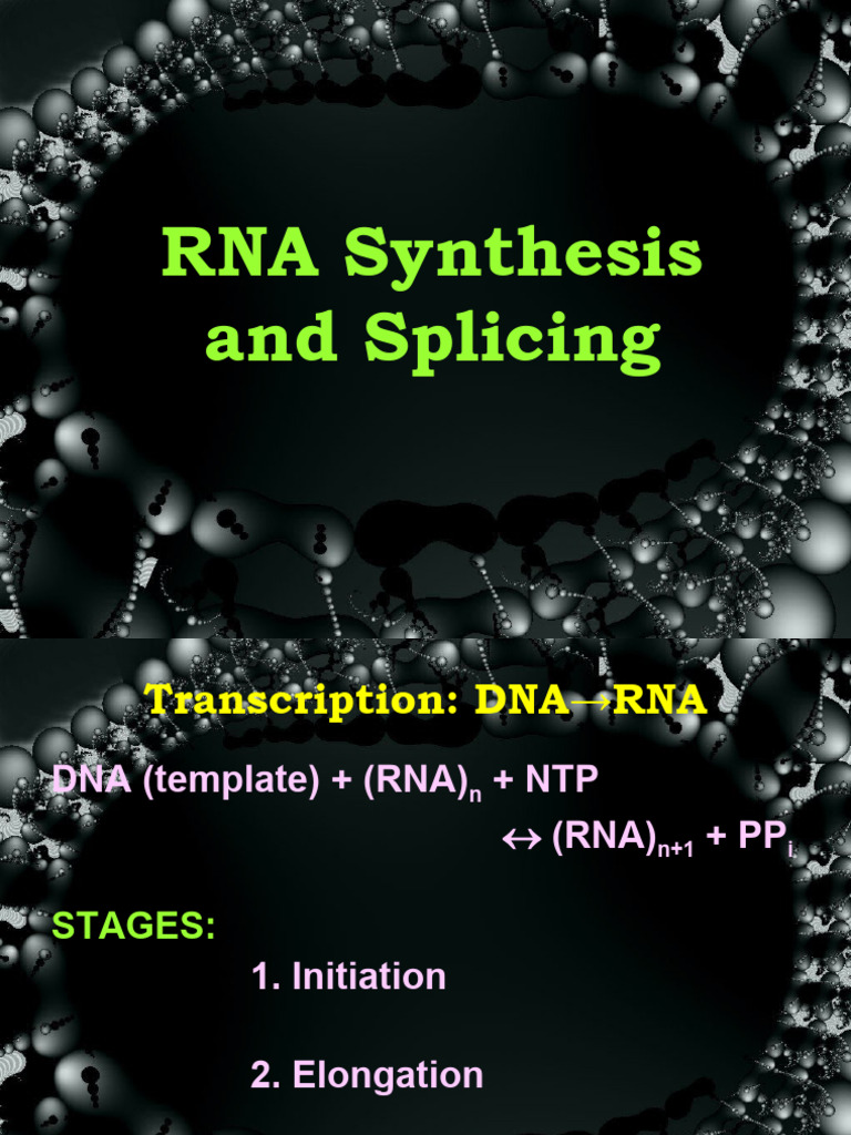 RNA Synthesis and Splicing Overview | PDF | Rna Splicing | Rna