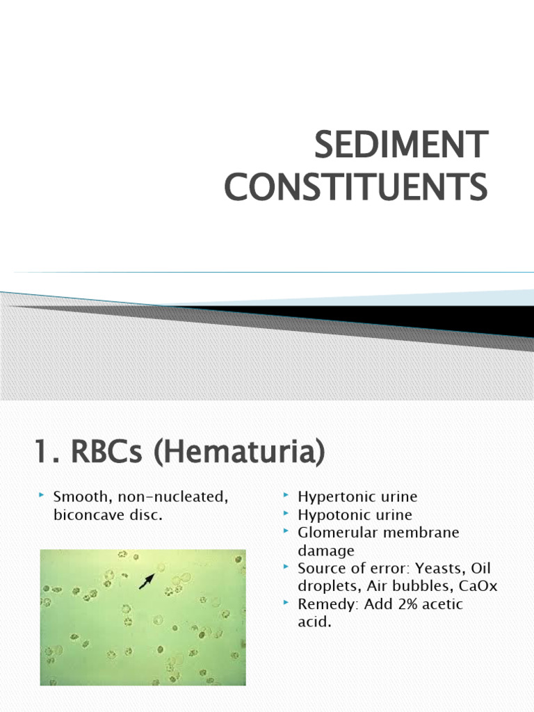 Sediments | PDF