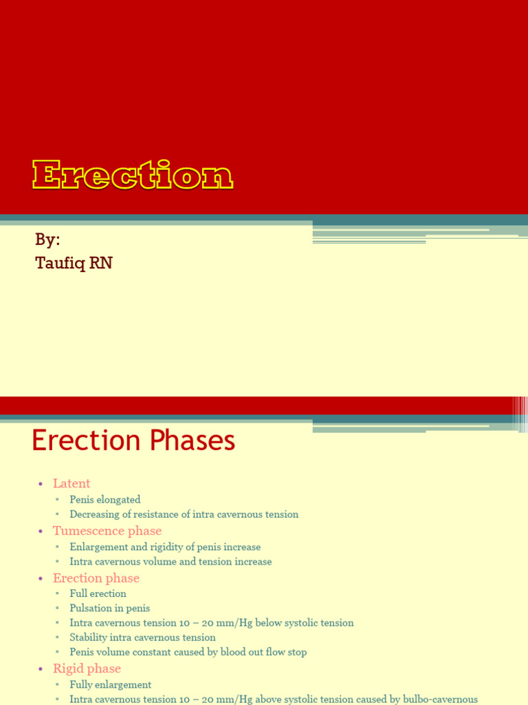 Mekanisme Dan Kelainan Ereksi Dan Ejakulasi | PDF | Prostate | Human ...