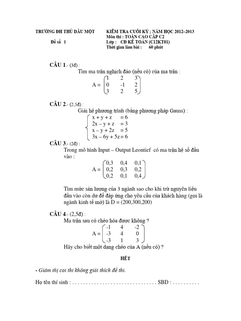 De Thi Toan Cao Cap DH Thu Dau Mot 696 | PDF