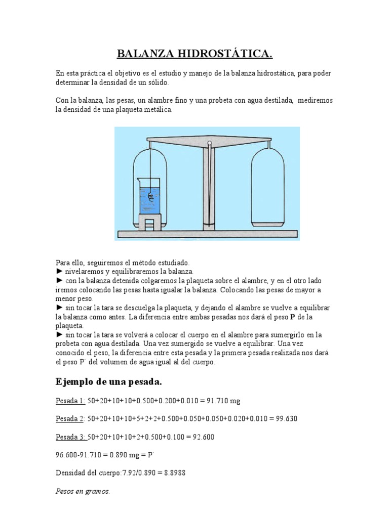 Balanza Hidrostática | PDF | Densidad | Balanza