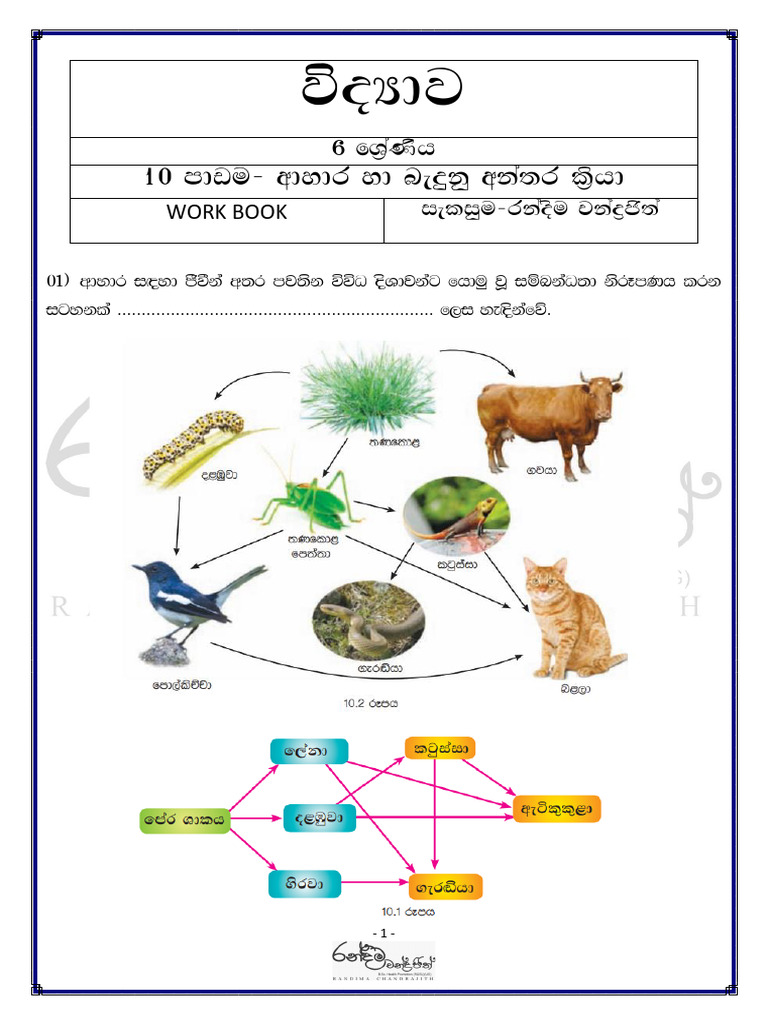 Grade 6 Science Final Workbook | PDF | Technology & Engineering