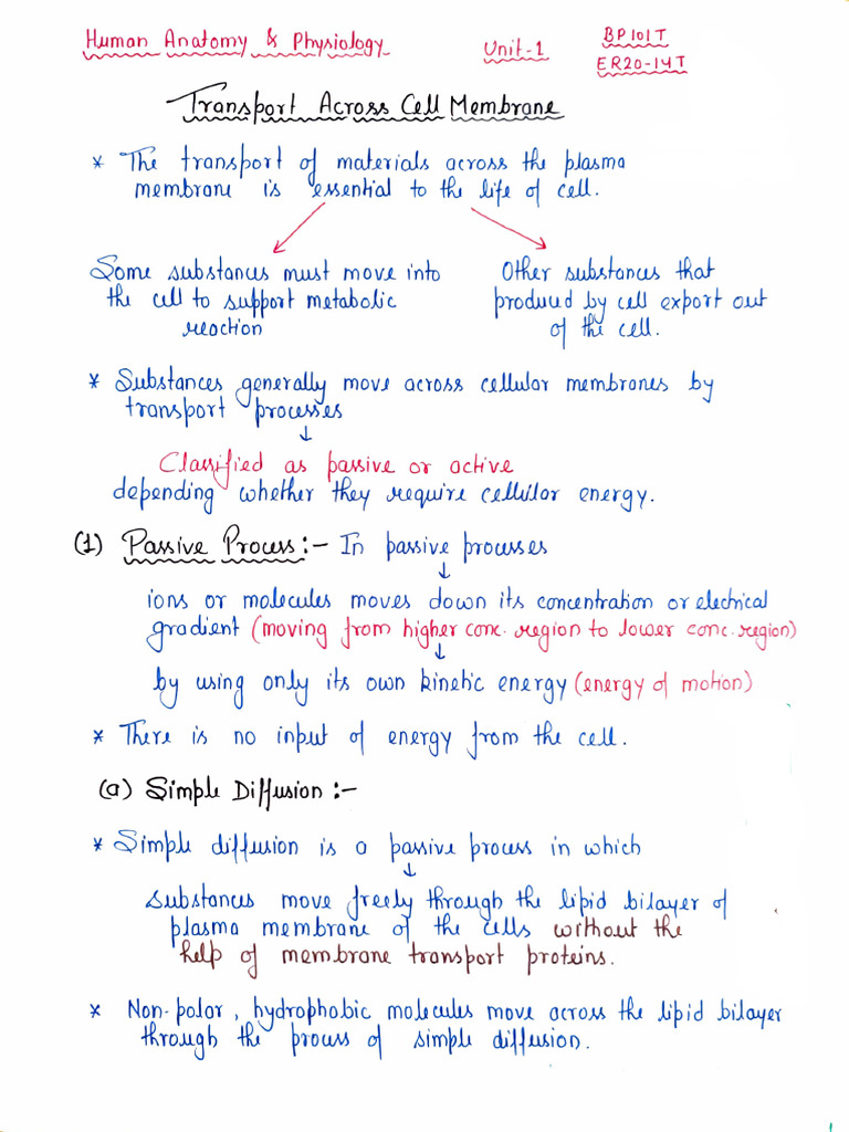 Transport Across The Plasma Membrane | PDF | Cell Biology | Anatomy
