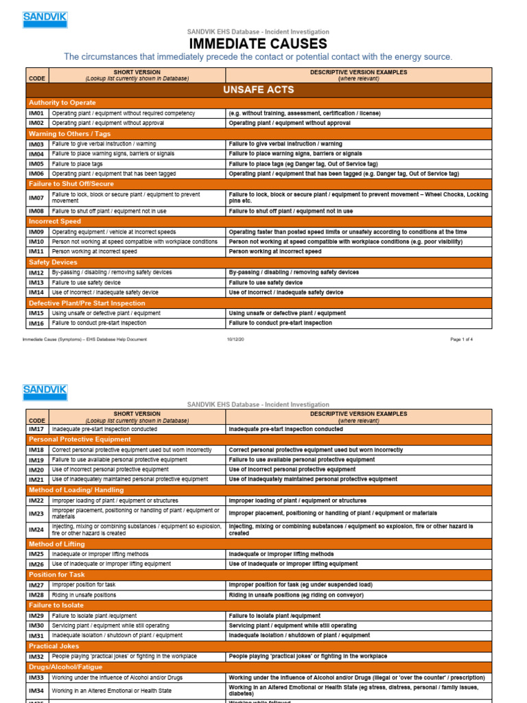Immediate Cause Descriptive | PDF