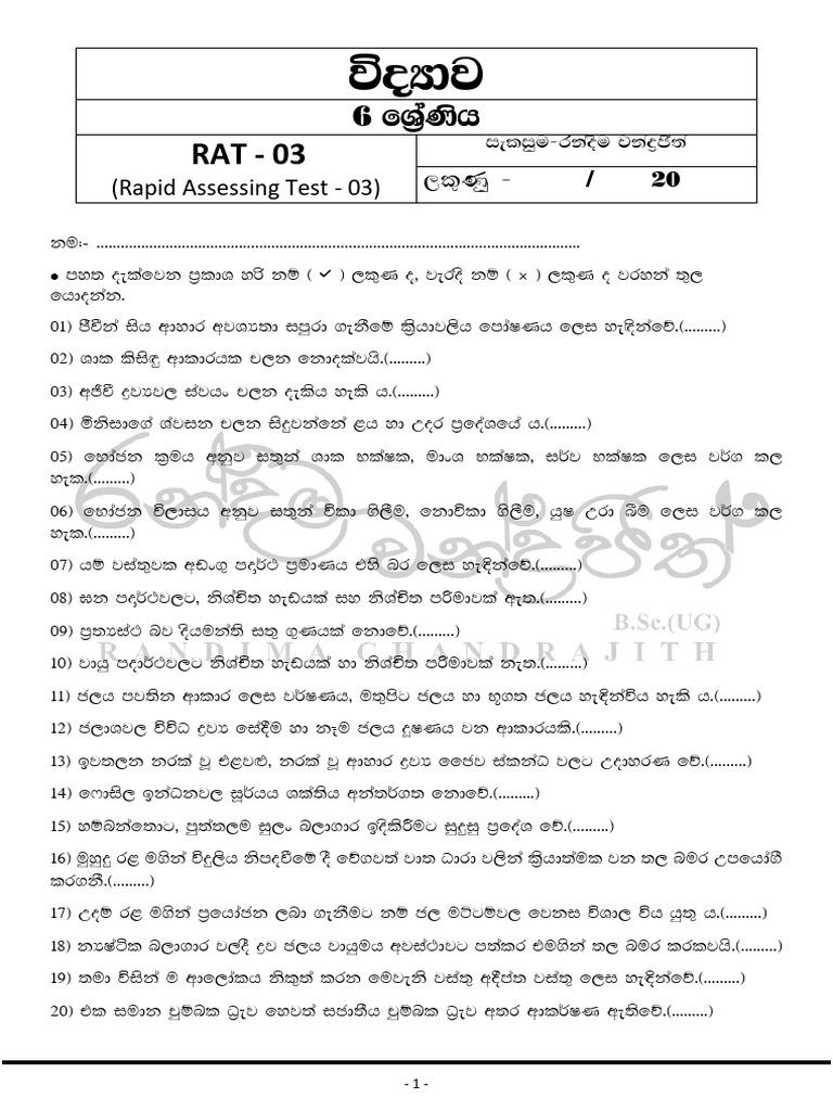 Grade Science 6 Rat 03 | PDF