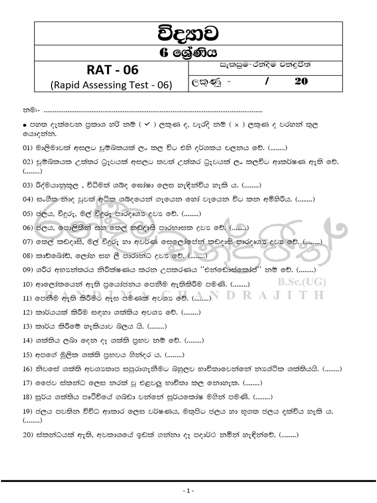 Grade 6 Science Rat 06 | PDF