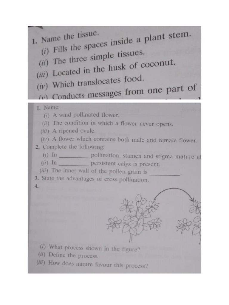 9b Unit Test Sample | PDF