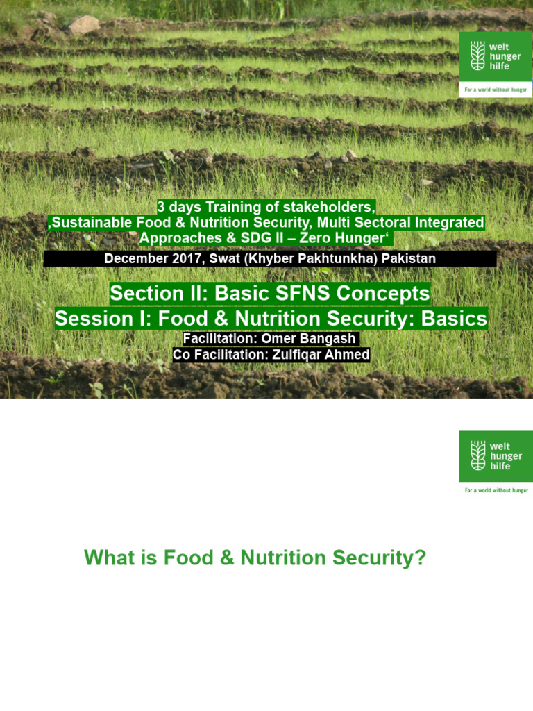 Session 2 - Food & Nutrition Security | PDF | Food Security | Wash
